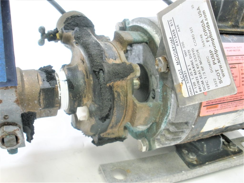 Scot Pump X41345B 1/3 HP Centrifugal Water Pump 115/230 Volt Commercial ...