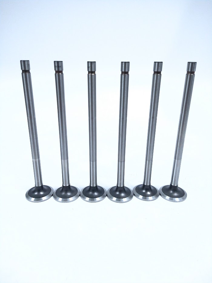 FP Diesel 5195167, Exaust Valve Pack Of 6 - Max Marine Outlet